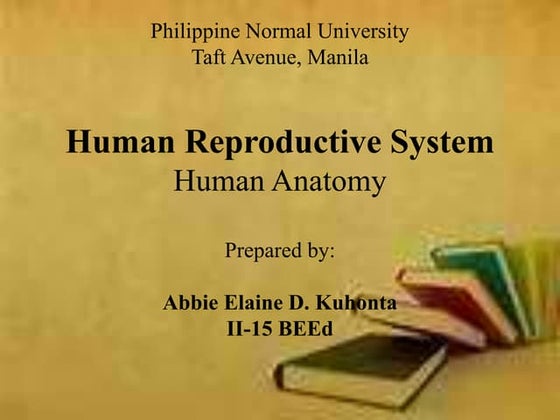 Reproductive system 6º grade | PPT