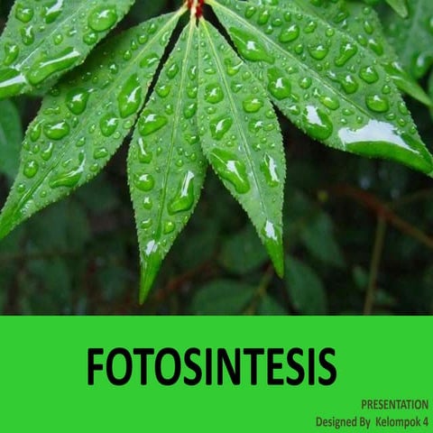 Fotosintesis Presentation | PPT