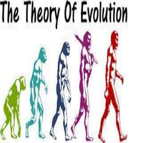 The Theory of Evolution | PPTX