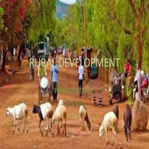 Rural Developmant | PPTX