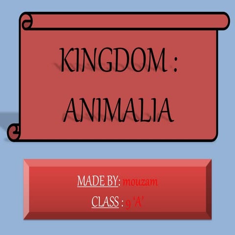 animal kingdom | PPTX