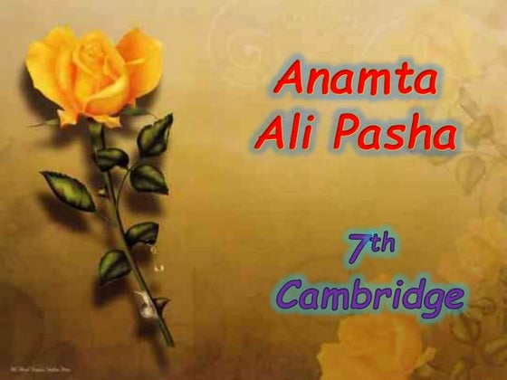 "Day and Night" Pixar Short Film Activity | PPT