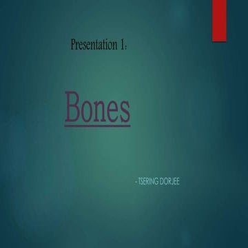 Formation of Bone | PPTX