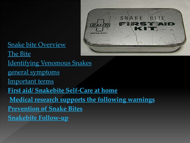 DESERT SNAKE SCORPION AWARENESS.pptx hse | PPTX