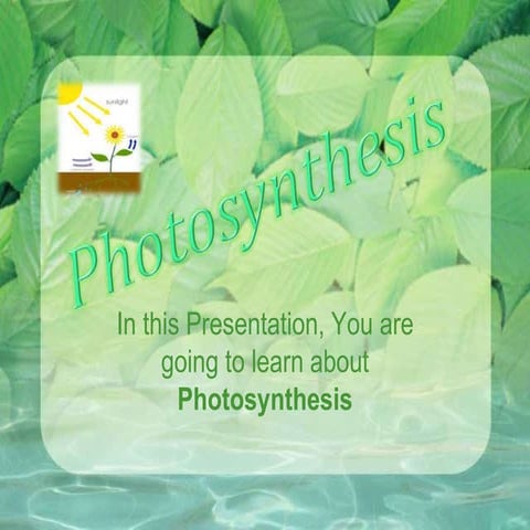 Photosynthesis | PPT