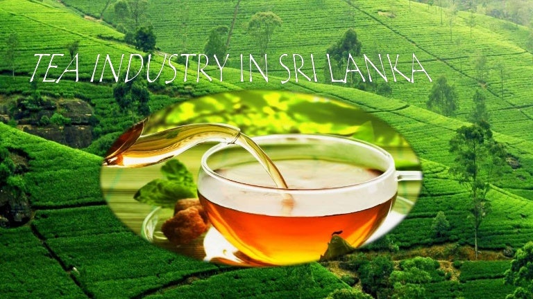 Tea industry in sri lanka