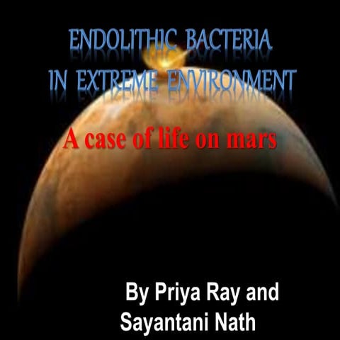 Endolithic Bacteria In Low Temperature Environment, A Case of Life on ...