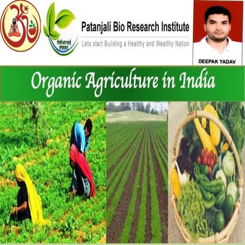 Organic Agriculture | PPTX