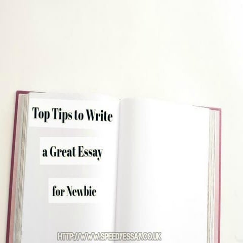 Top Tips To Write a Great Essay for Newbie | PDF