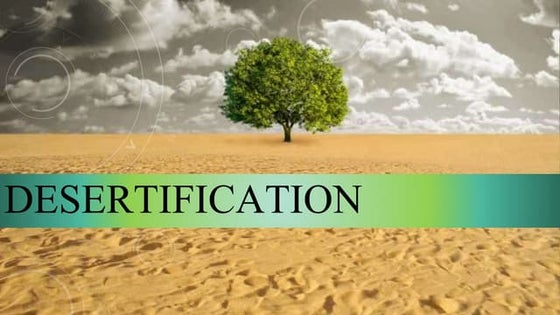 desertification | PPT