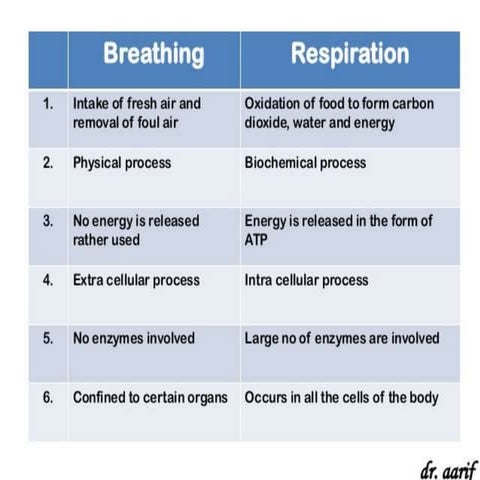 breathing and respiration{BIOLOGY} | PPTX