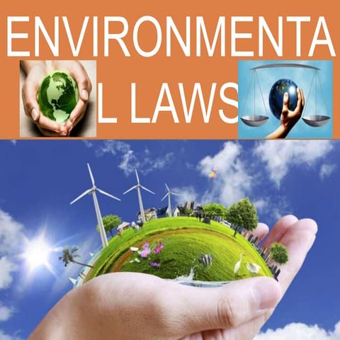 Environmental Law and Regulations - I