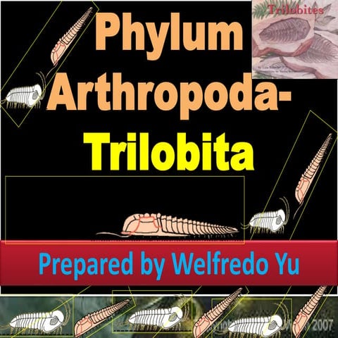 PHYLUM ARTHROPODA BY YU,JR. WELFREDO L. | PPTX