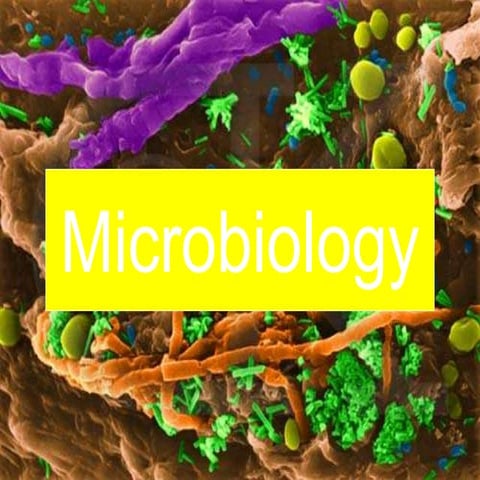 Pengantar Mikrobiologi | PPTX