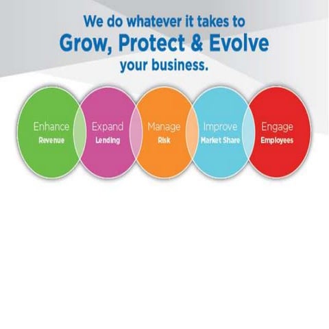 Grow, Protect and Evolve | PPTX | Business Banking & Finance | Business