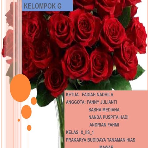 Powerpoint bunga mawar | PPTX