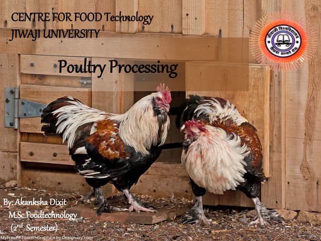 Processing of poultry | PPT