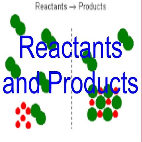 Reactants and Products | PPT