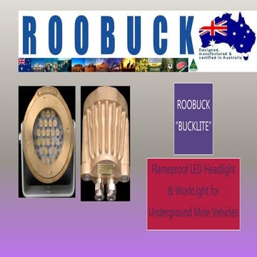 ROOBUCK - "BUCKLITE" | PPT
