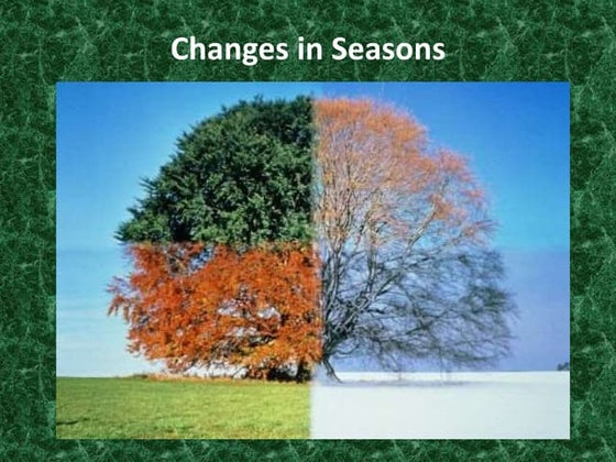 The four seasons | PPT