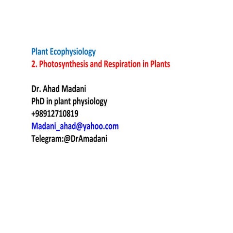 Photosynthesis and respiration in plants | PPT