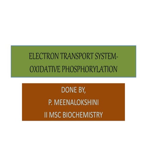 oxidative phosphorylation | PPTX