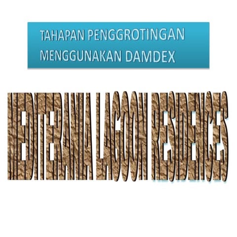 Presentation Damdex | PPTX