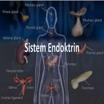 penyakit sistem endokrin