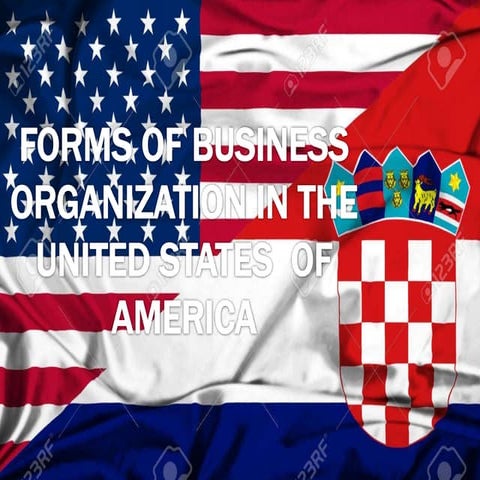 FORMS OF BUSINESS ORGANIZATIONS IN THE USA | PPTX
