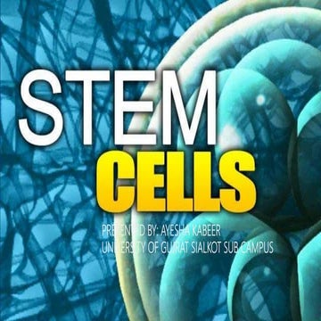 STEM CELLS | PPTX