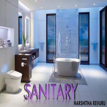 sanitary | PDF