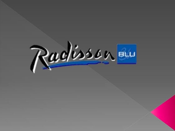 AN OVERVIEW ON THE RADISSON BLU | DOCX