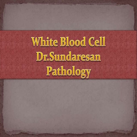 white blood cell | PPTX