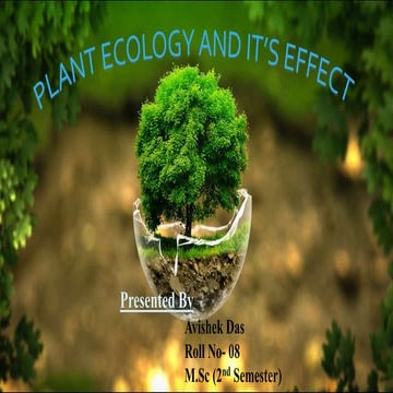 The Role of Plants in Maintaining Ecological Balance | PPTX
