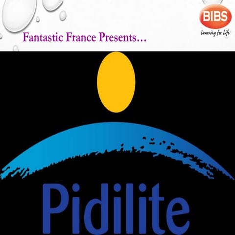 Pidilite company presentation | PPTX