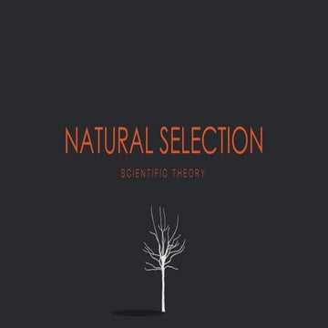Natural Selection | PPT