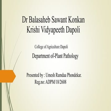 Presentation1 | PPT