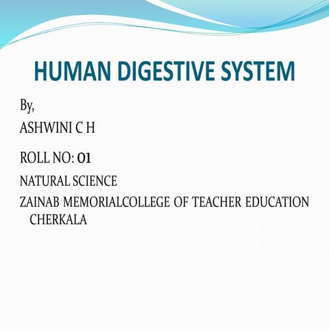 HUMAN DIGESTIVE SYSTEM | PPTX