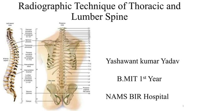 X ray views of shoulder joint and related structures | PPTX