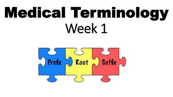 Anatomy and Physiology Vocabulary (PREFIXES) | PPT