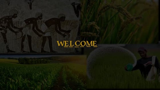 Structured Learning Activities | PDF