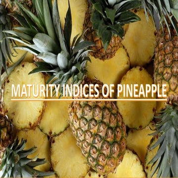 maturity indices of pineapple | PPTX