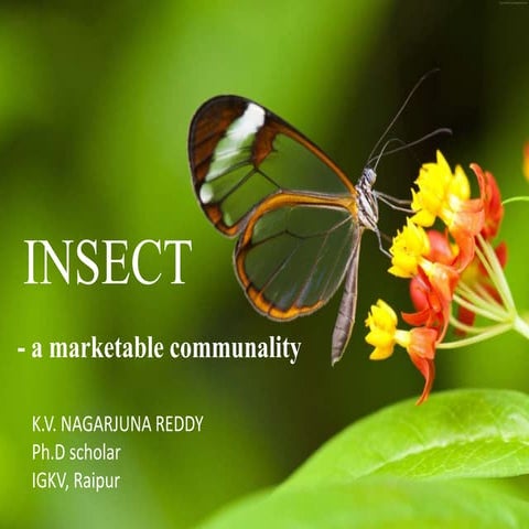 insect - a marketable commodity | PPTX