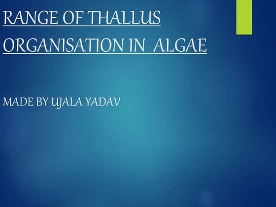 ALGAE - THALLUS ORGANIZATION.pptx