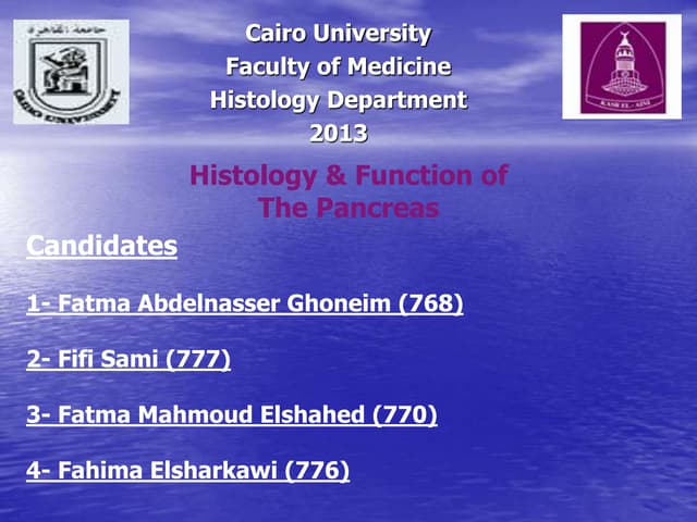 Histological structure of pancreas | PPTX