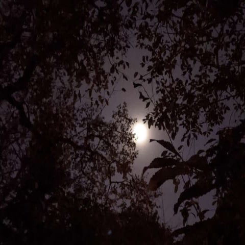 Moon Shots or Snaps of the Moon Taken at Night. | PPT