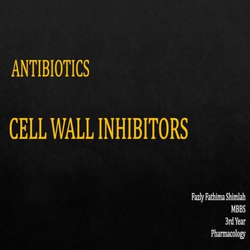 Cell wall Inhibitors - Antibiotic - Penicilin | PPT