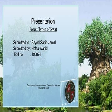 Presentation1 | PPT
