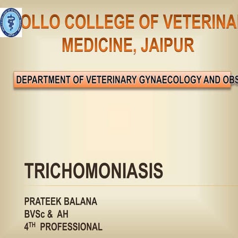 trichomoniasis | PPTX