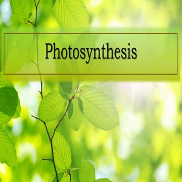 Biology 11- Photosynthesis.ppt